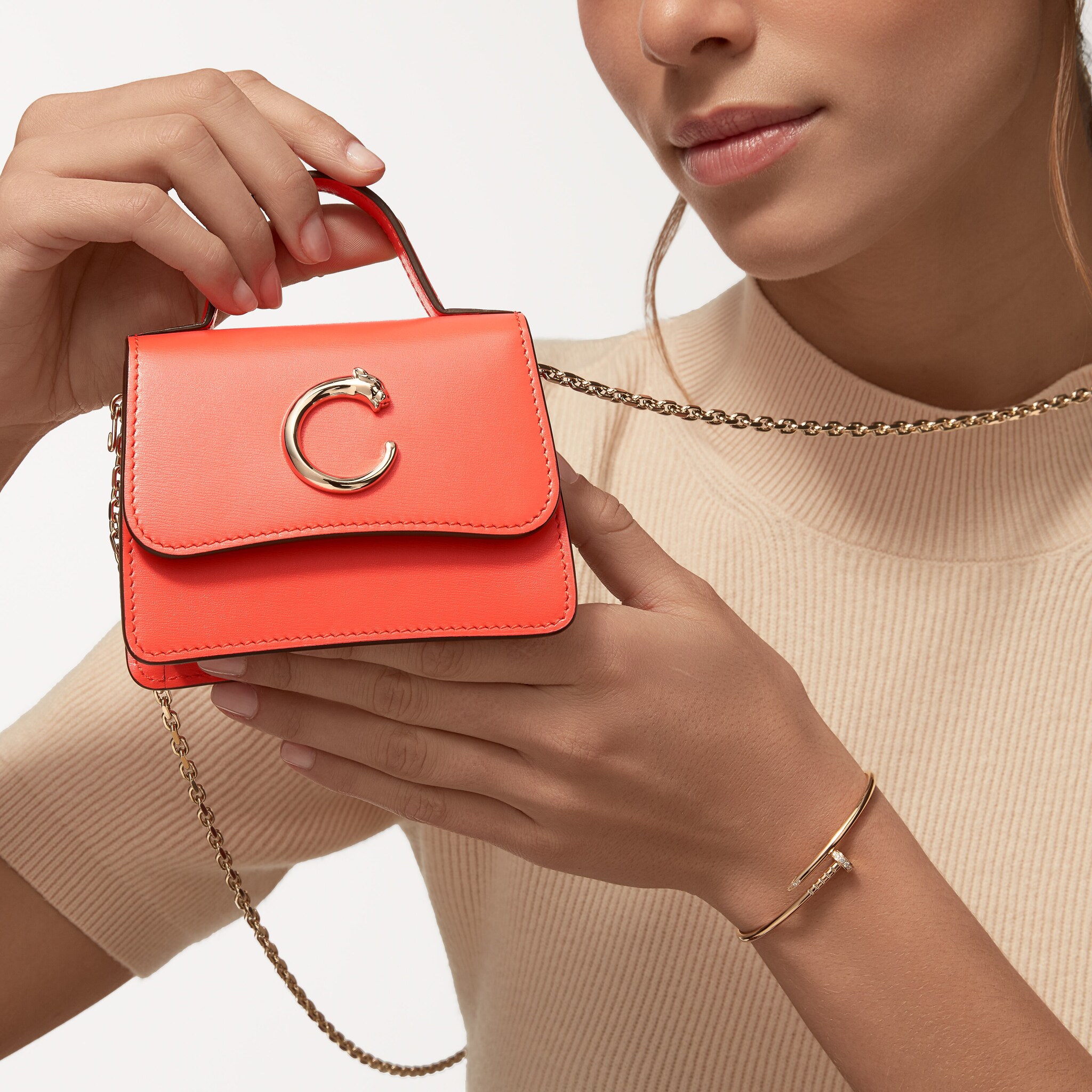 Chain bag micro model, Panthère C de Cartier