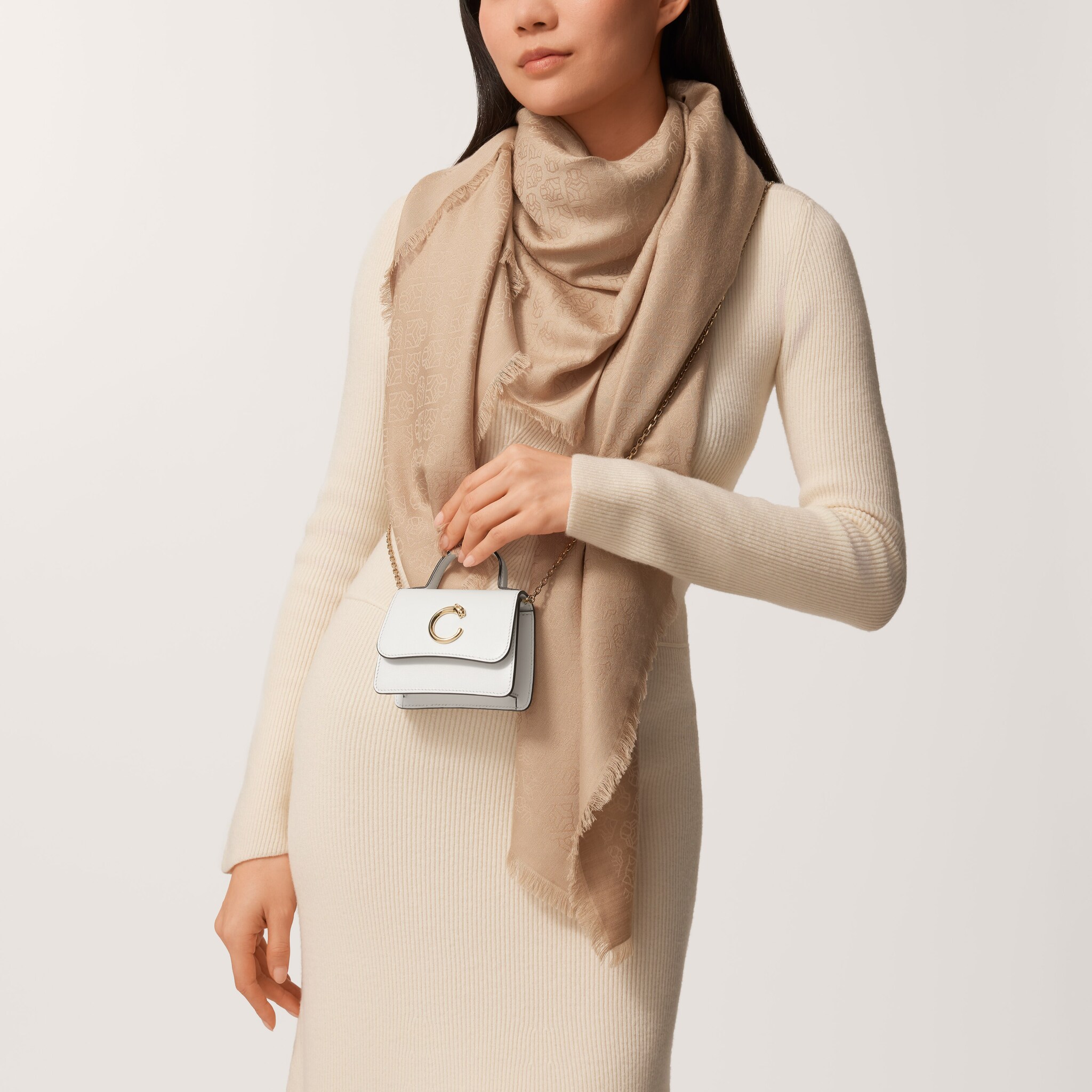 Chain bag micro model, Panthère de Cartier